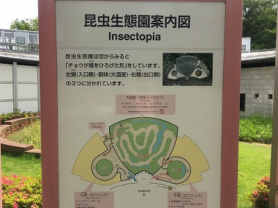 180531_IMG_7333 | Tourips Japan