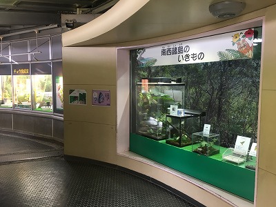 180531_IMG_7335 | Tourips Japan