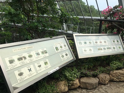 180531_IMG_7365 | Tourips Japan