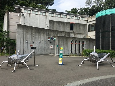 Spot report – Insectarium of Tama Zoological Park (2018-05-31 ...