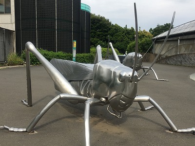 180531_IMG_7450 | Tourips Japan